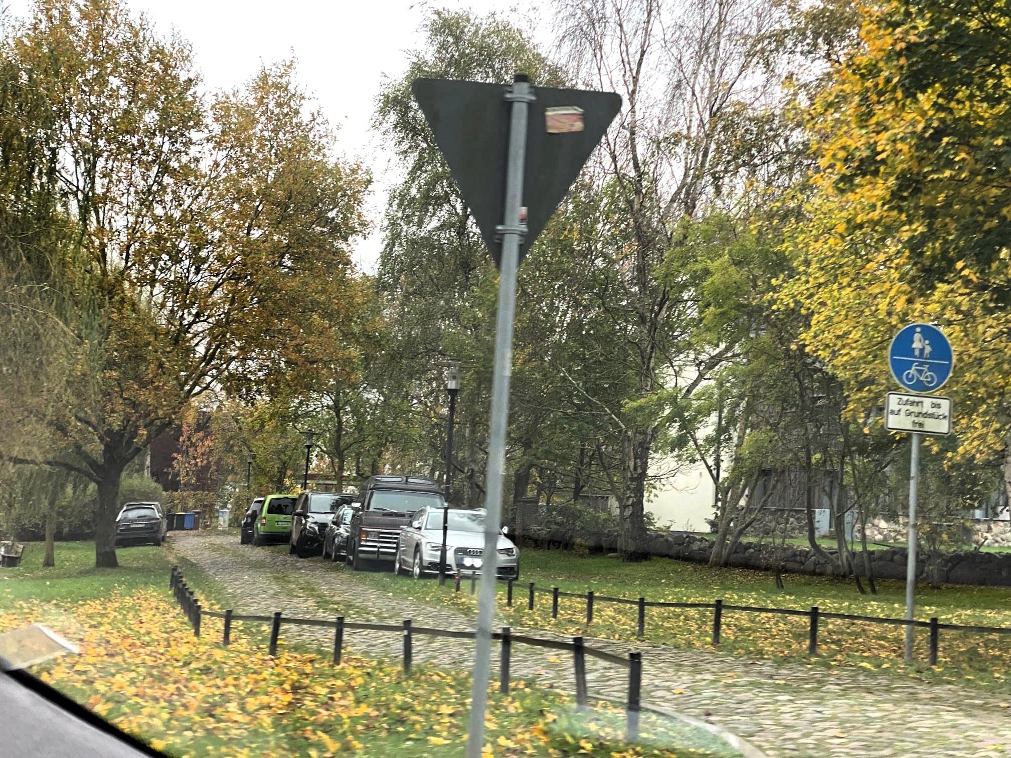 Wildparken auf Grünflächen und Gehwegen - LiB Blog